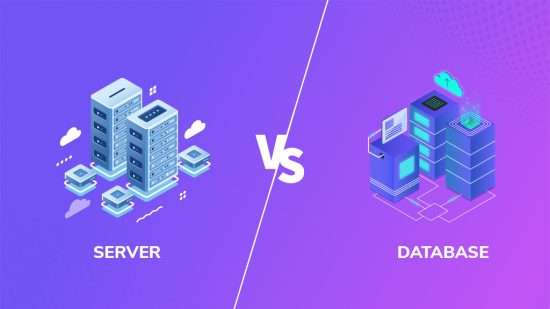 Difference between Server and Database: Your Beginners Guide